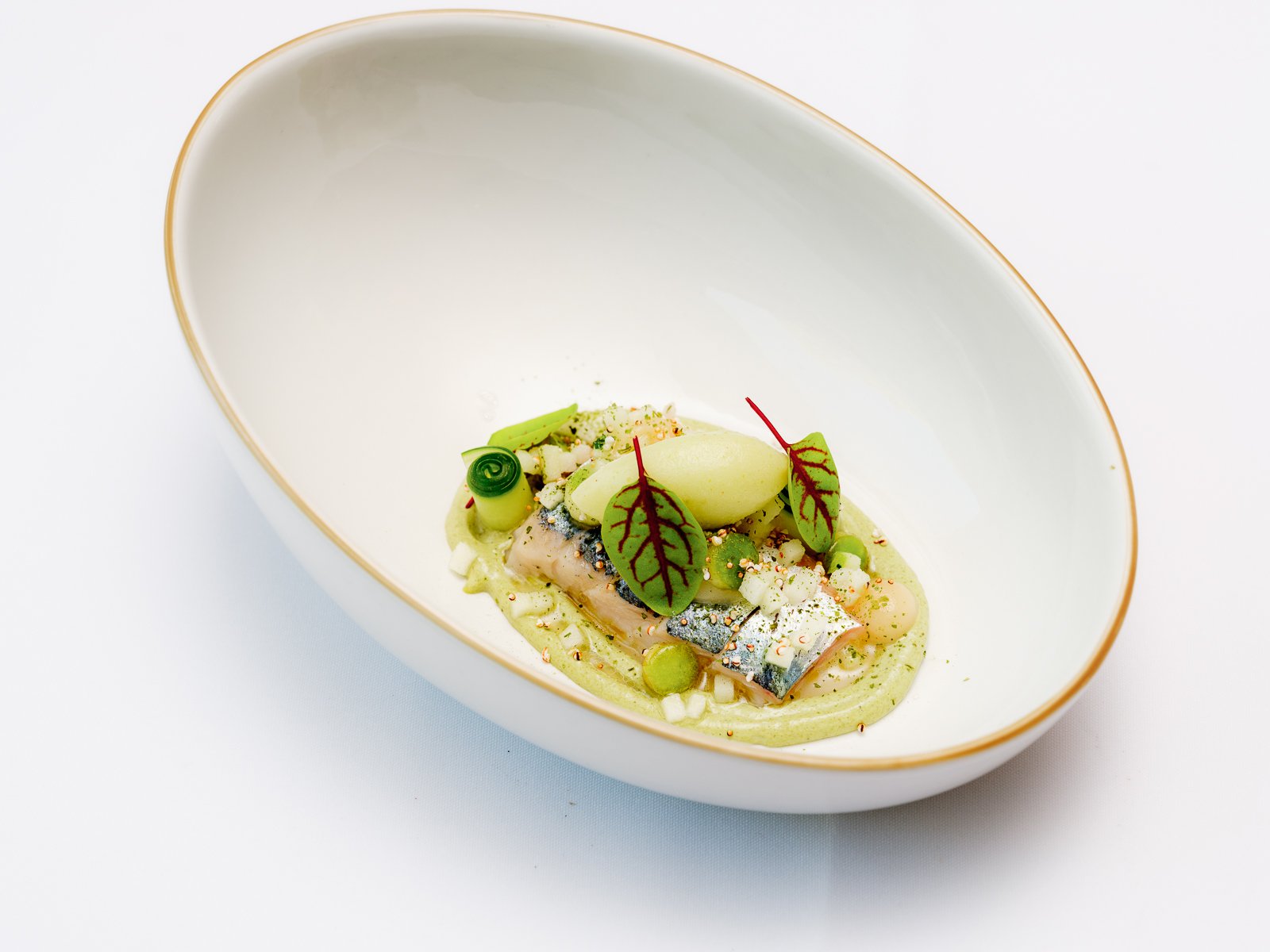 Two Cooks | Two-Cooks | Homepage